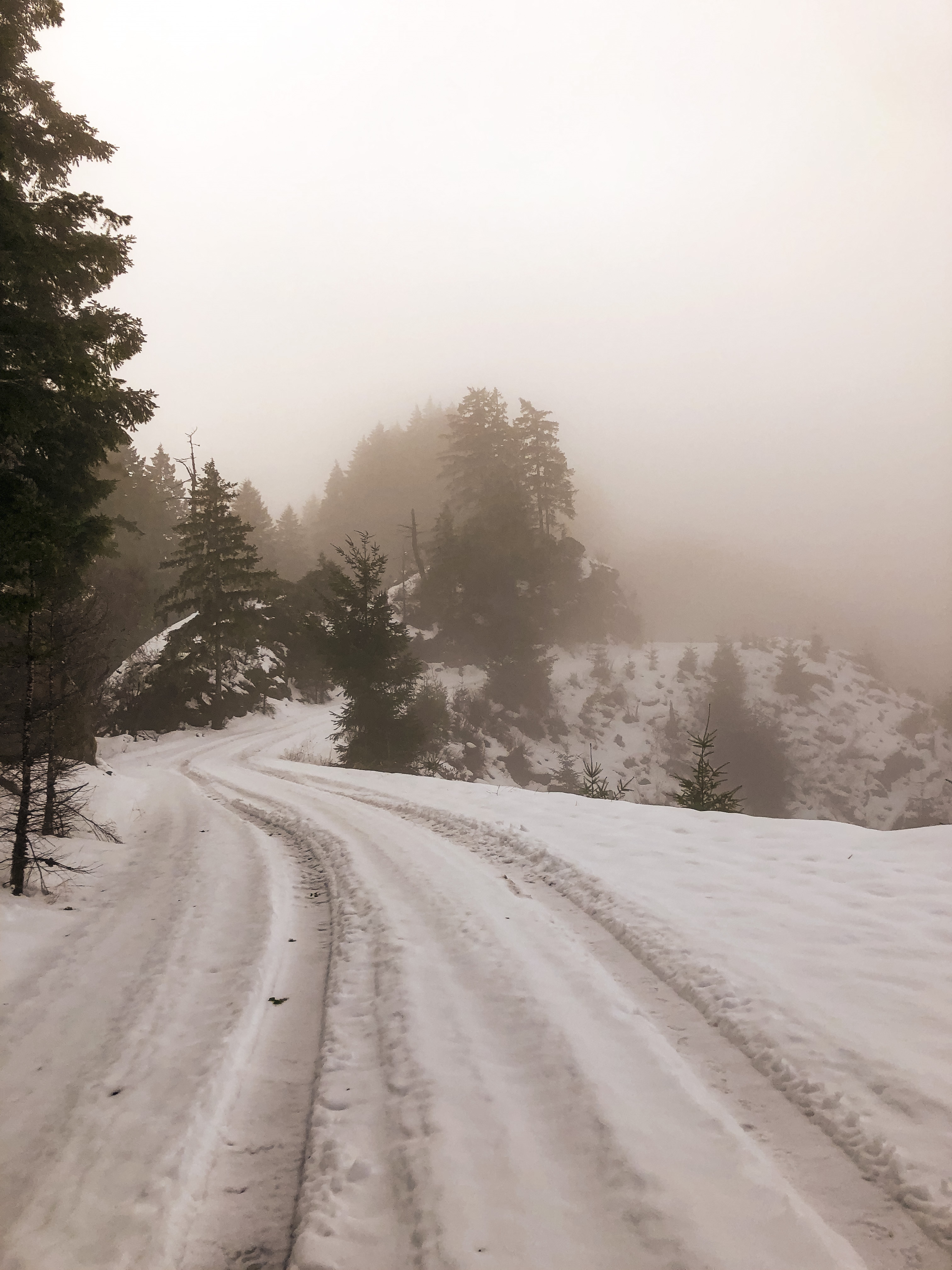 Cougar Pass L.O. – The Roaming Civic