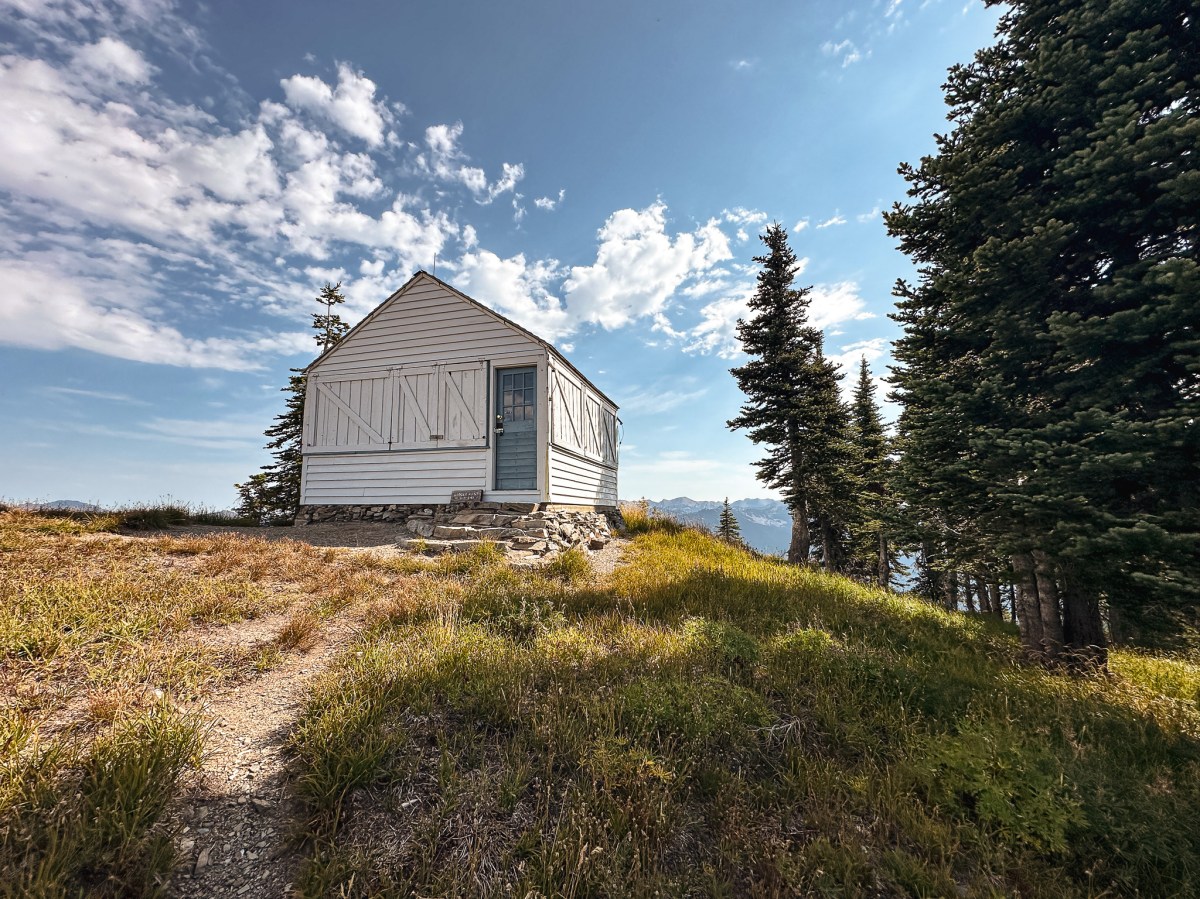 Dodger Point L.O. – The Roaming Civic